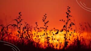 6 Inspiring Prayers For October - Prayer Planner Included - Hope Filled ...