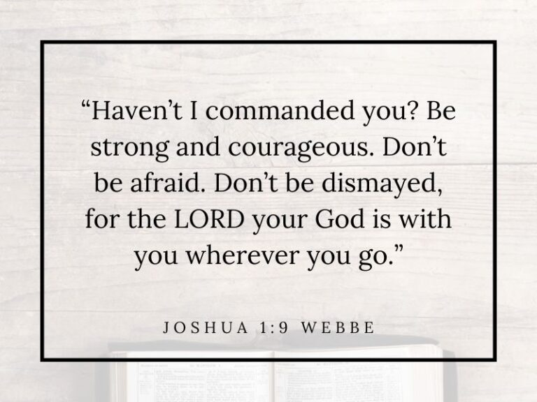 Bible Verses For Men: 31 Important Scriptures For Men