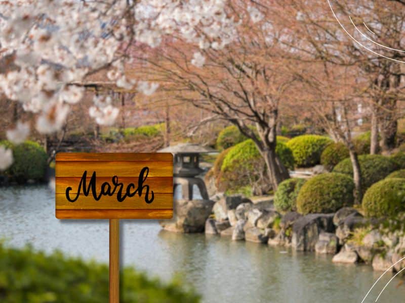 30+ Powerful Bible Verses For March About God's Truth